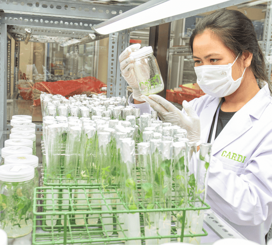 Climate Resilience | CAPRED